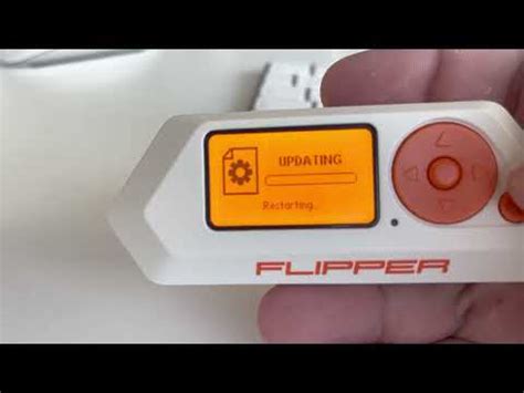 Firmware Update Problem Using Archive Firmware Update QFlipper Flipper Forum