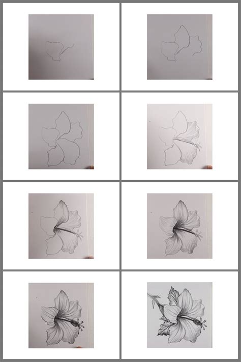 How To Draw A Flower Step By Step In Minutes Drawings Flower Drawing Drawing Skills