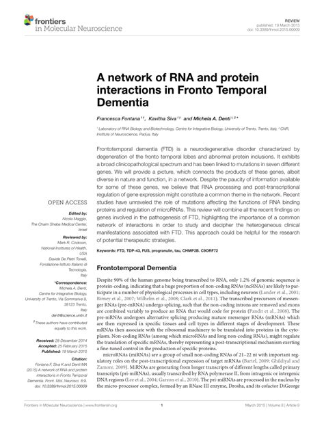 Pdf A Network Of Rna And Protein Interactions In Fronto Temporal Dementia