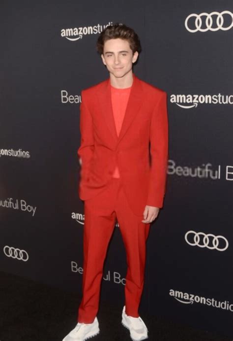 Timothee Chalamet Height Factors Affecting His Height