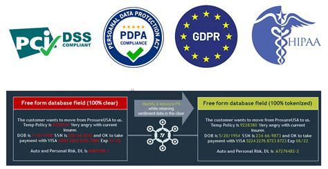 Data Tokenization Asic Cyber Security