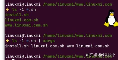 掌握 Linux 命令行的 10 个高级 Shell 脚本命令 知乎 掌握 Linux 命令行的 10 个高级 Shell 脚本命令 知乎