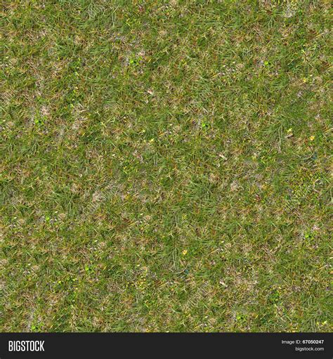 Seamless Dry Grass Texture Seamless Dry Grass Texture