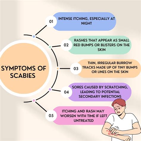 Scabies Midwives Revision