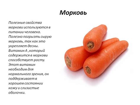 Морковь столовая