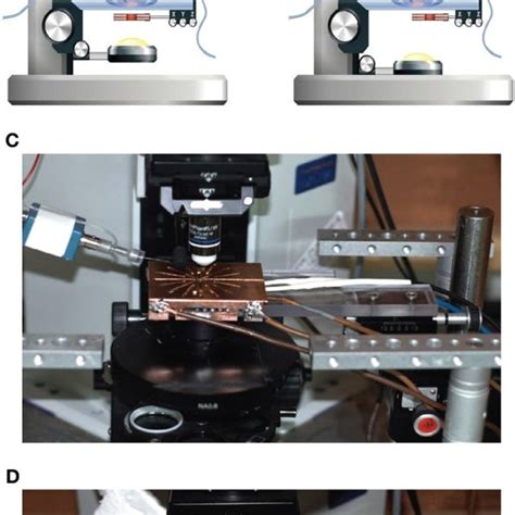 Patch Clamp And Magnetic Stimulation Setup A The General