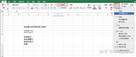 【excel】自动换行、自动调整行高与列宽 知乎