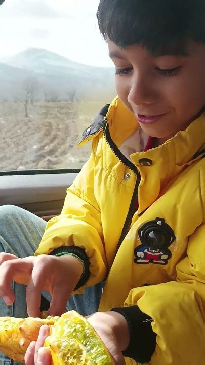 ریگ طبیعت Youtube