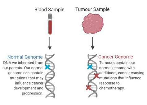 nihal obeid on linkedin sequencing dna dnasequencing