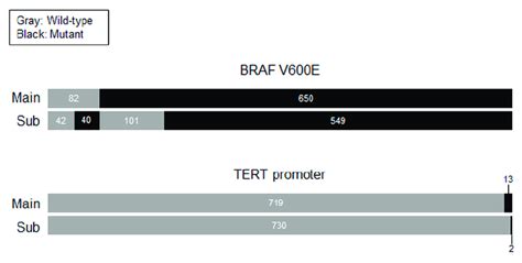 Braf V600e And Tert Promoter Mutations In Preoperatively Diagnosed Download Scientific Diagram