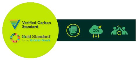 Introducing Our Monthly Carbon Offset Update Lime Sustainable Supplies