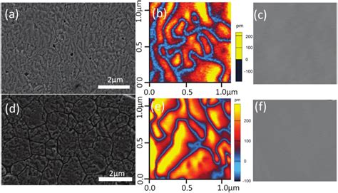Morphology Of Bntbt6 Ceramics A Sem Of The Chemically Etched Ns Download Scientific Diagram
