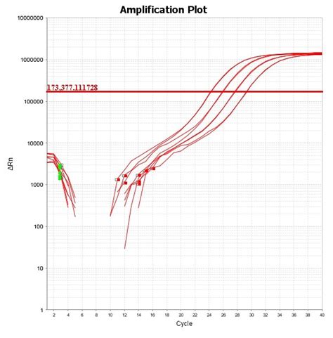Strange Looking Curves On Real Time Pcr Using Taqman Probes Researchgate