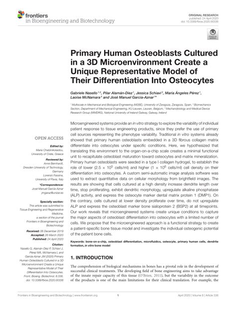 Pdf Primary Human Osteoblasts Cultured In A 3d Microenvironment Create A Unique Representative