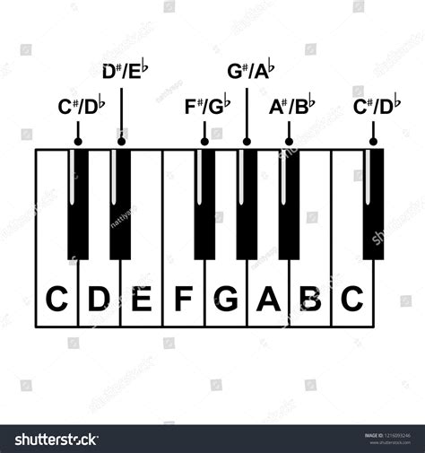 Piano Keyboard Diagram Piano Keyboard Layout Stock Vector Royalty Free