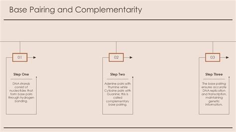 Dna Biochemistry Ppt Outline Acp Ppt Example