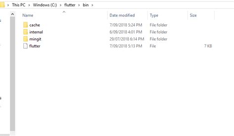 How To Move Flutter Bin File Stack Overflow
