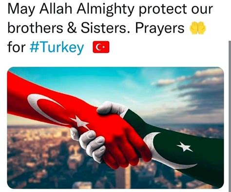 bushra ali on linkedin ameen