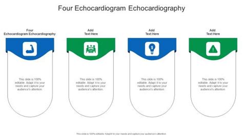 Four Echocardiogram Echocardiography PowerPoint Presentation And Slides PPT PowerPoint SlideTeam