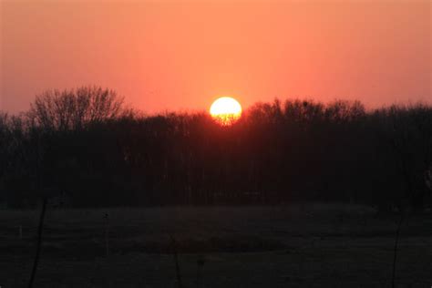 Others 18 Porn Pictures Xxx Photos Sex Images 3883119 Pictoa