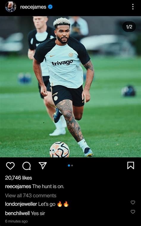 The Hunt Is On Chilly Seems To Agree Too R Chelseafc