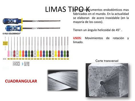 Ppt Tipos De Limas Powerpoint Presentation Free Download Id 2108280