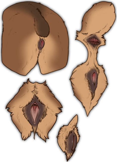 Rule 34 Anatomically Correct Anatomically Correct Genitalia