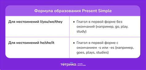 Present Simple все правила — Блог Тетрики