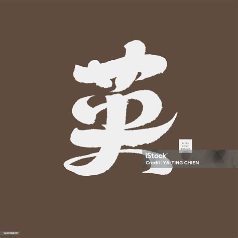 중국어 단일 문자 Ying 손으로 쓴 서예 문자 디자인 영웅 잘 생긴 여러 의미를 가진 한자 0명에 대한 스톡 벡터 아트 및