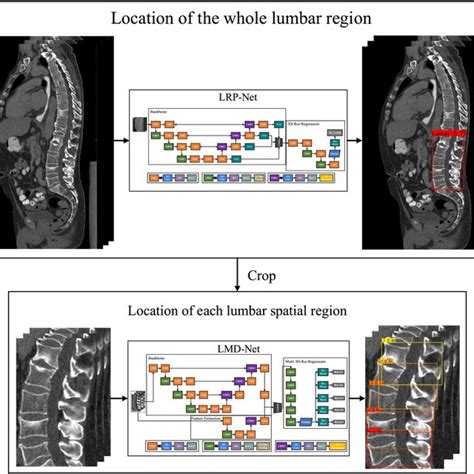 Effect Of Structural Similarity On Lumbar Image Segmentation Download