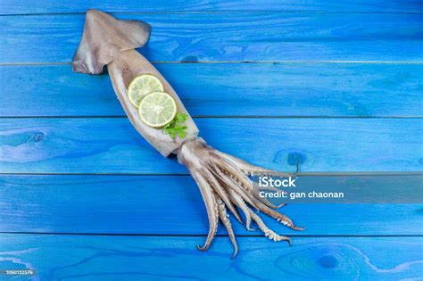 레몬과 파 슬 리와 함께 오늘 하 따라 신선한 오징어 Whiteraw 오징어 해산물 또는 신선한 오징어 요리 해산물 또는 평면도에서 푸른 나무 배경에 다른 메뉴에 젖은