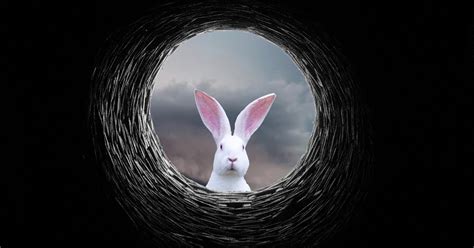 New Rabbit Ransomware Associated To Fin8 Hacking Group Xiarch