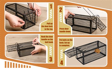 Amazon.com : Qualirey 2 Pcs Humane Rat Trap Chipmunk Rodent Mouse Squirrel Trap Small Live ...