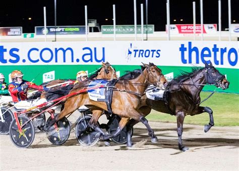 Shes Ruby Roo Set For Great Square Off In Queensland Harnesslink