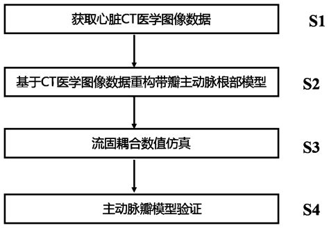 Aortic Valve Fluid Solid Coupling Numerical Simulation Method Based On