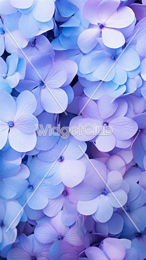 파란색 배경화면 4232 이미지를 무료로 다운로드하세요 Widgetclub