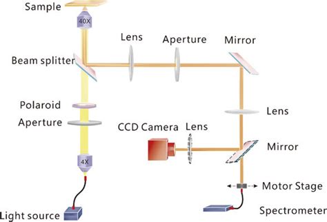 Schematic Angular Resolved Microreflectance Setup Download