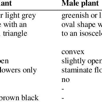 Determination Of Sex Type Based On Descriptors For Papaya IBPGR And Download Scientific
