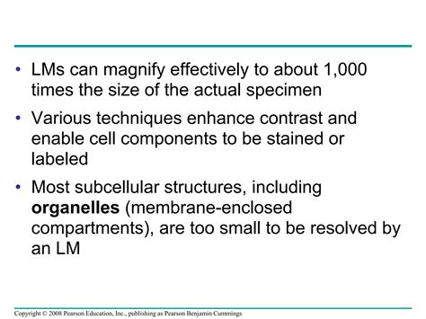 chapter 6 lecture pdf biological sciences science