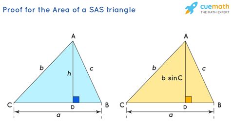 Area Of A SAS Triangle Formula Examples Definition