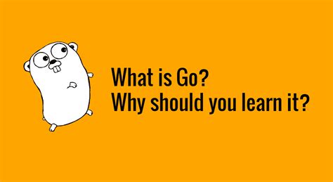 Cách Sử Dụng Go Modules anhlamweb