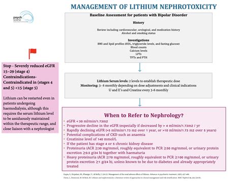 Lithium Induced Renal Dysfunction Pathophysiology And Care