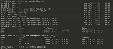 centos8 安装 lnmp linux nginx mysql php 环境 服务器端 恩迪 恩迪博客 endi