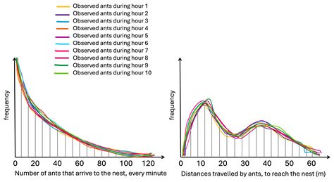 Hypothesis Testing Calculation Of Effect Size Statistical Power And