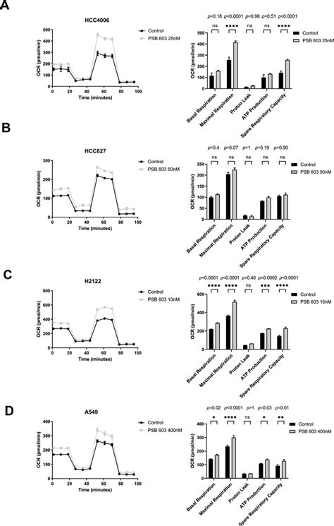 A2br Blockade Alters Oxidative Phosphorylation In Nsclc Cell Lines