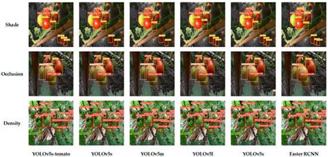 Tomato Maturity Recognition Model Based On Improved Yolov5 In Greenhouse