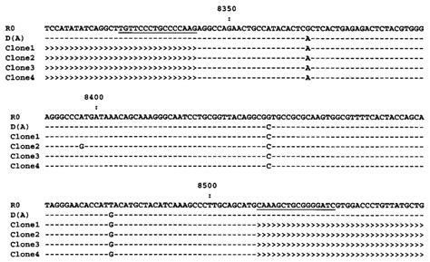 Nucleotide Sequence Alignment Of The Ns5 Fragments Of Hcv Recovered Download Scientific Diagram