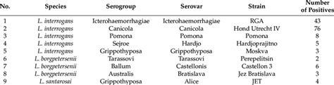 Description Of The Panel Of Leptospira Sp Serogroups Used In The Download Scientific Diagram