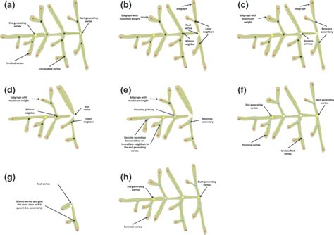 Graph Decomposition And Vertex Classification A Original Graph B Download Scientific