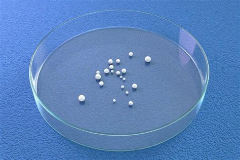 Ai Made From Living Human Brain Cells Performs Speech Recognition